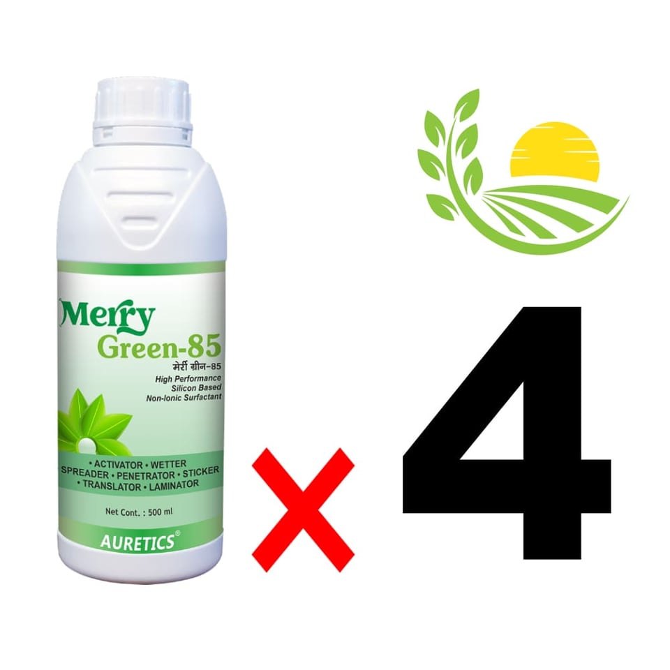 [Special Pack] Merry Green-85: 500ml - 2 Standard x [1+1] Set (1+3 ...