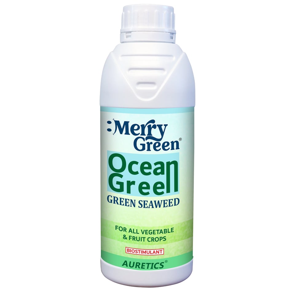 Merry Green: Ocean Green Seaweed | Auretics.com | Best Agri Products ...